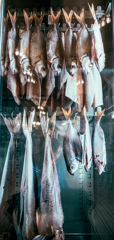 Daniele Usai, the sailor chef, Barchemagazine.com